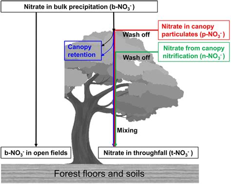 A Simplified Map Showing Major Contributors Of No3− Download