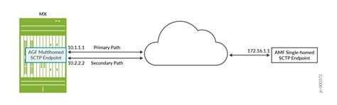 Sctp On The Agf Junos Os Juniper Networks