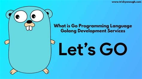 Go Programming Language - Golang Development Services