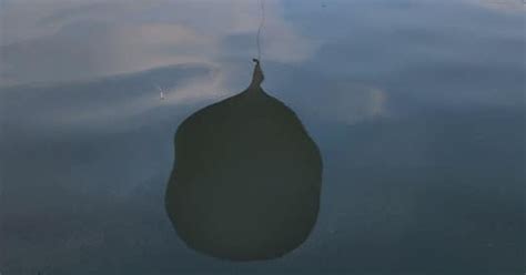 대북 확성기 재개대통령실 북한 오물풍선 국민에 심리적 타격