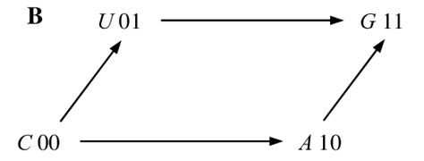 The Hasse Diagrams Of The Four Bases Boolean Lattices A Primal Download Scientific Diagram