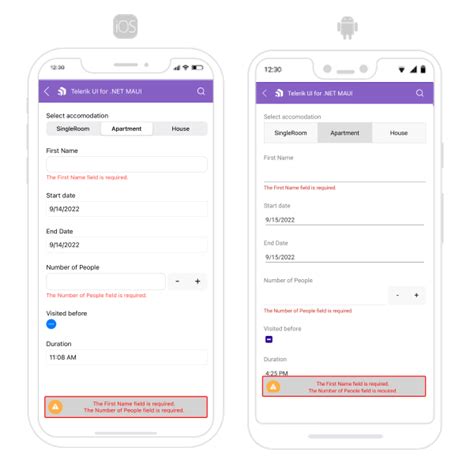 Net Maui Dataform Documentation Validation Styling Telerik Ui For Net Maui
