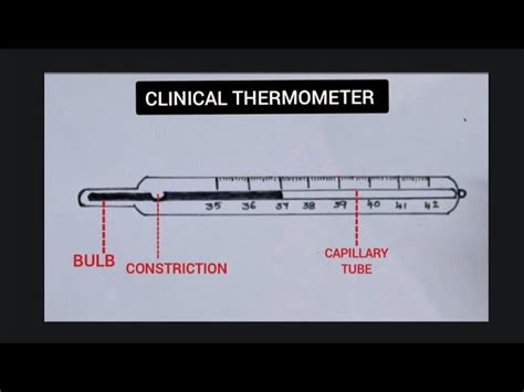 Draw A Neat Labelled Diagram Of A Laboratory Thermometer