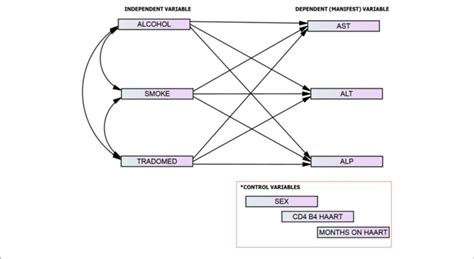 The Study Model Framework Download Scientific Diagram