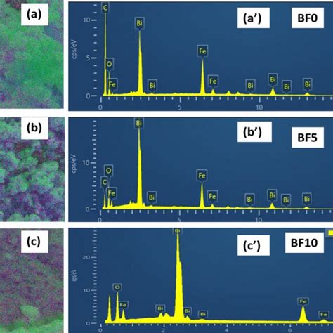 Xrd Patterns Of Pure Bfo Bfo5 Bfo10 Samples Were Refined Using The