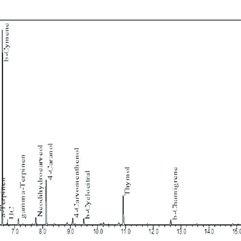 Total Ion Chromatogram Tic Of Ns Essential Oil By Gc Ms Dalli 2021