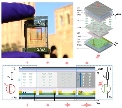 2d optoelectronic neuron array harnessing ambient light for broadband