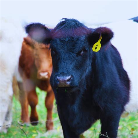 What Is RFID Tag Get Factory Price