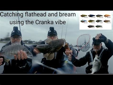 catching bream and flathead | hobie outback fishing | fishing Lake Macquarie - YouTube
