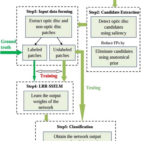 Illustration Of The Proposed Optic Disc Detection Approach Download Scientific Diagram