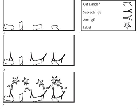 18 Specific Immunoglobulin E Testing For Inhalant Allergy Ento Key