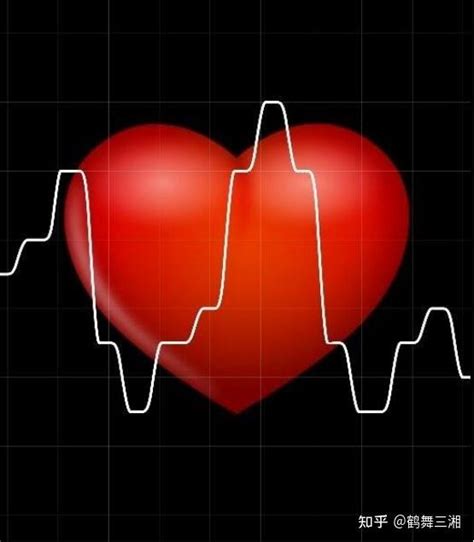 跑步需要关注心率吗？ 知乎