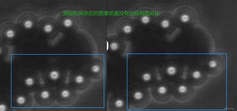 c bitmap保存8位灰度jpeg转换为24位，gdi 保存8位jpeg异常 c bitmap最终保存位8位图片 csczh的博客 csdn博客