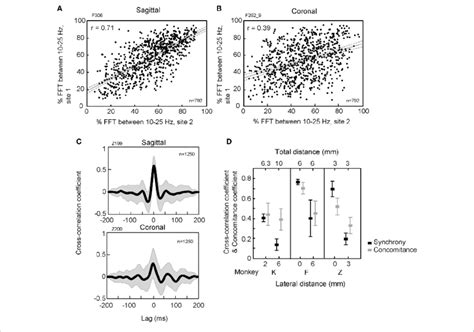 oscillation and synchronization properties of cerebellar gcl lfps