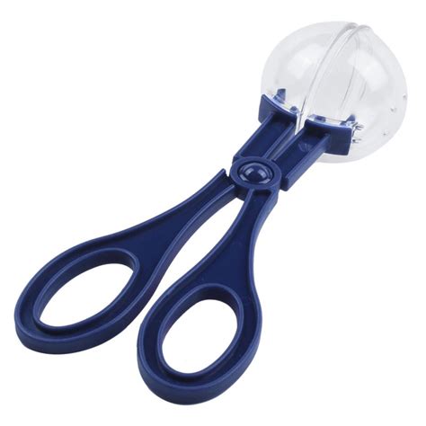 Reptiel Terrarium Aquarium Kattenbakvulling Kak Cl Grandado