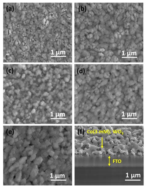 Enhanced Photoelectrochemical Performance Using Cobalt Catalyst Loaded Pvdrf Engineered Wo3