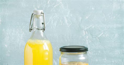 Thermomix Recipe The Ginger Bug