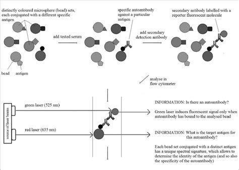 4 microsphere based multiplex flow cytometric immunoassay for detection