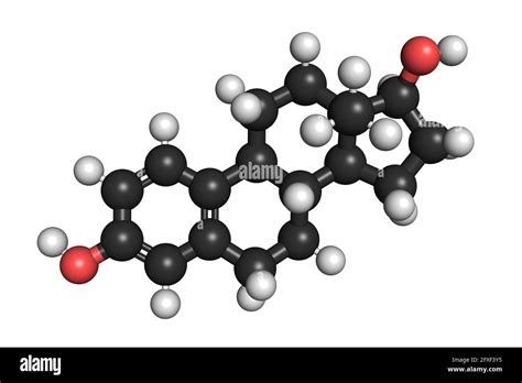 Estrogen Molecule Progesterone Female Sex Hormone Skeletal Chemical