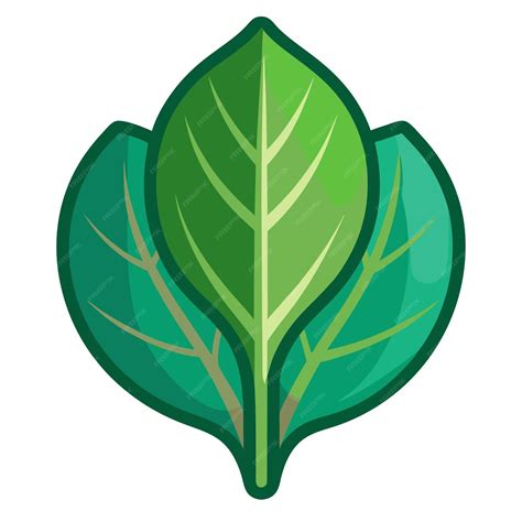 Spinach Leaf Clipart Vector Art And Illustration Premium Ai Generated Vector