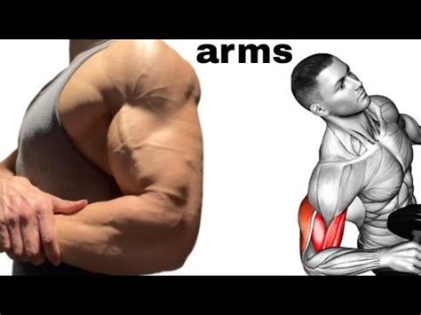 The Strongest Exercises To Build Arm Muscles YouTube