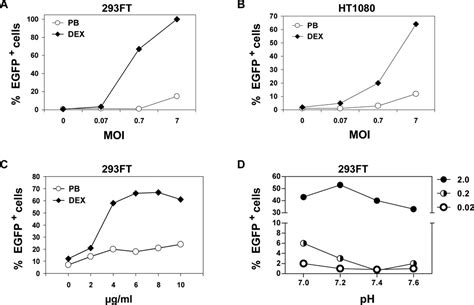 Optimization Of The Transductional Efficiency Of Lentiviral Vectors Effect Of Sera And
