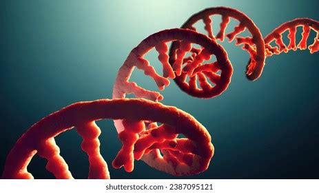 Thousand Rna Royalty Free Images Stock Photos Pictures Shutterstock