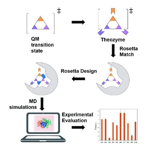 a representation of an enzyme in silico design protocol the full steps