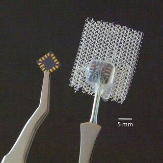 Bare Accelerometer IC Left And Assembled And Encapsulated Sensor With Download Scientific