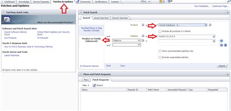 How Do We Apply The Latest Patch Psu To An Oracle Database Dataplatform Gr