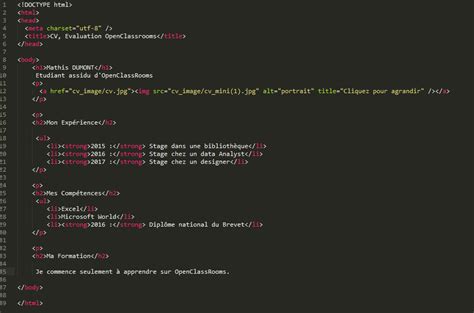 Quiz Numéro 1 Du Cours Html5 Et Css3 Par Mathisdu Page 1 Openclassrooms