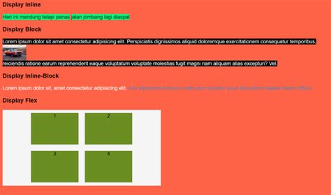 Mengenal Display Properti Pada CSS Baraja Coding