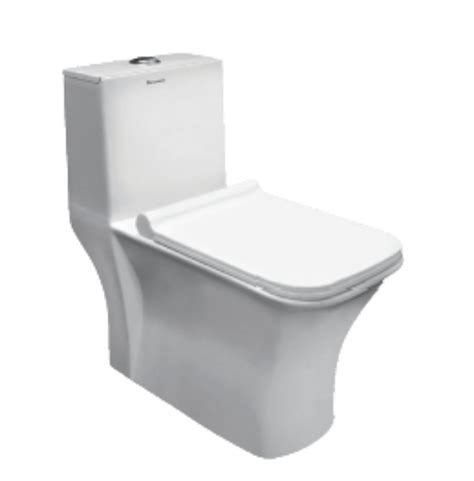 Buy Parryware Ewc With Seat Cover And Flush Aster Floor Online At Best