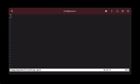 Language Server Protocol LSP