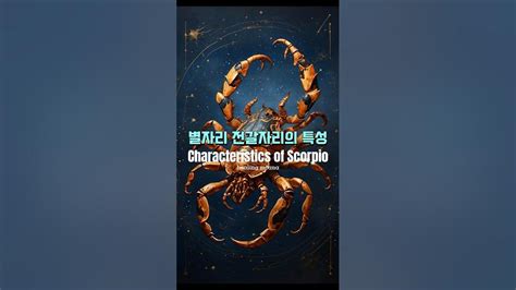 전갈자리1023~1122 별자리 특징 건강과 성장포인트 별자리심리학 현대점성학 Zodiac Astrology Starsigns Youtube