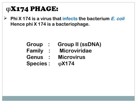 Phi X 174 Phage Ppt