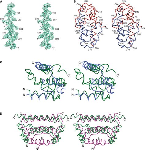 Stereoviews Of The Wnv C Protein Structure A Detail Of The Weighted