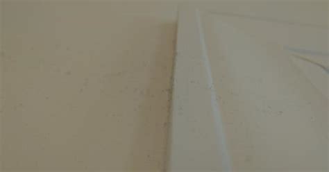 lint or dust album on imgur