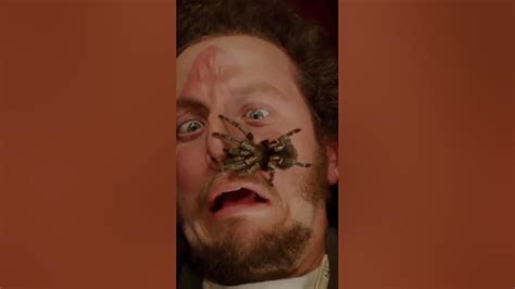 Kevin Mcallister Reunited With The Tarantula At The Home Alone House