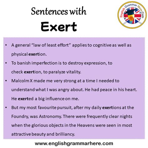 Sentences With Regular Verbs Regular Verbs In A Sentence In English