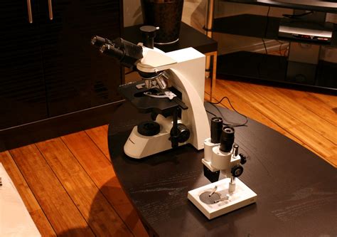 Plankton Project January 2011