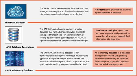 preparing maintenance operations for migrating sap ecc to s 4hana
