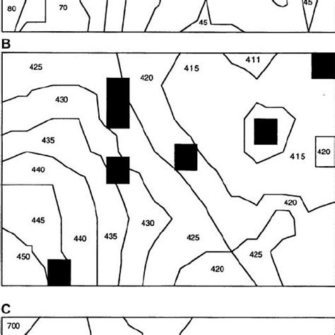 Isochronal Activation Maps Of A Transitional Rhythm In Which Focal