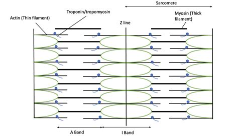 File FIG10 Png EyeWiki