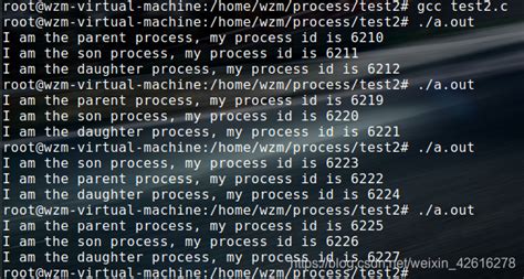 Linux中fork函数创建进程在以下forkc程序中包含能从已存在进程中创建新进程的fork函数 编译并执行代码 Csdn博客