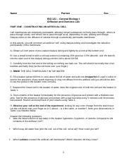 Osmosis Lab Doc Name Partner Sec BIO General Biology I Diffusion And Osmosis Lab
