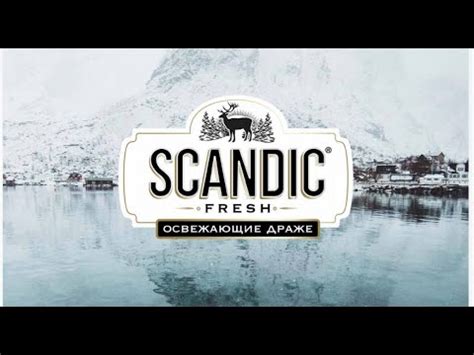 SCANDIC SPICY APPLE - YouTube