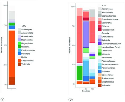Identified Bacteria Genera And Their Relative Abundances Of Total Download Scientific