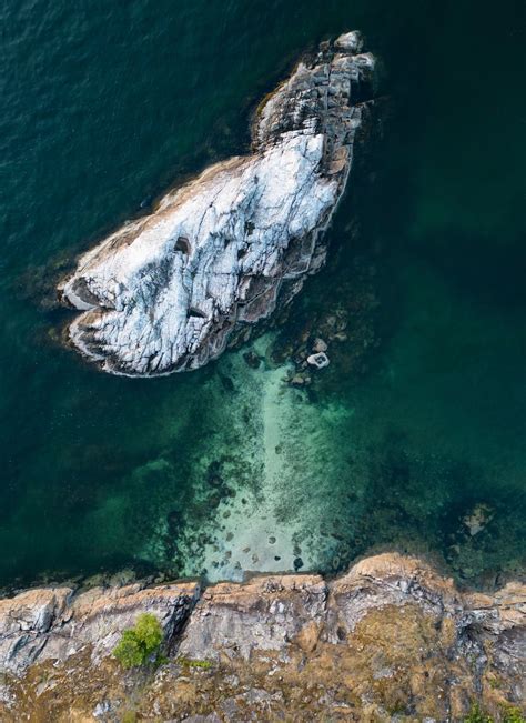 Pine Flatwoods Ecosystem At Hal Scott Preserve Near Orlando Florida