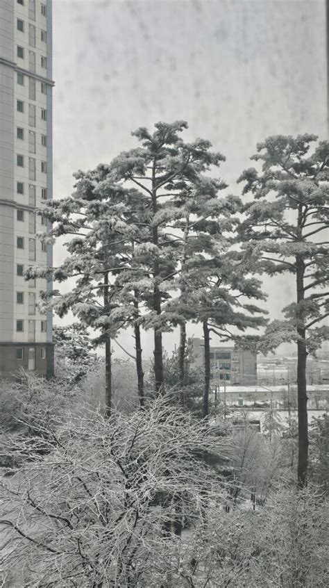 Erp 도입을 반대하는 대표이사를 설득하기 위한 문서 이맥스의 블로그emaxs Blog